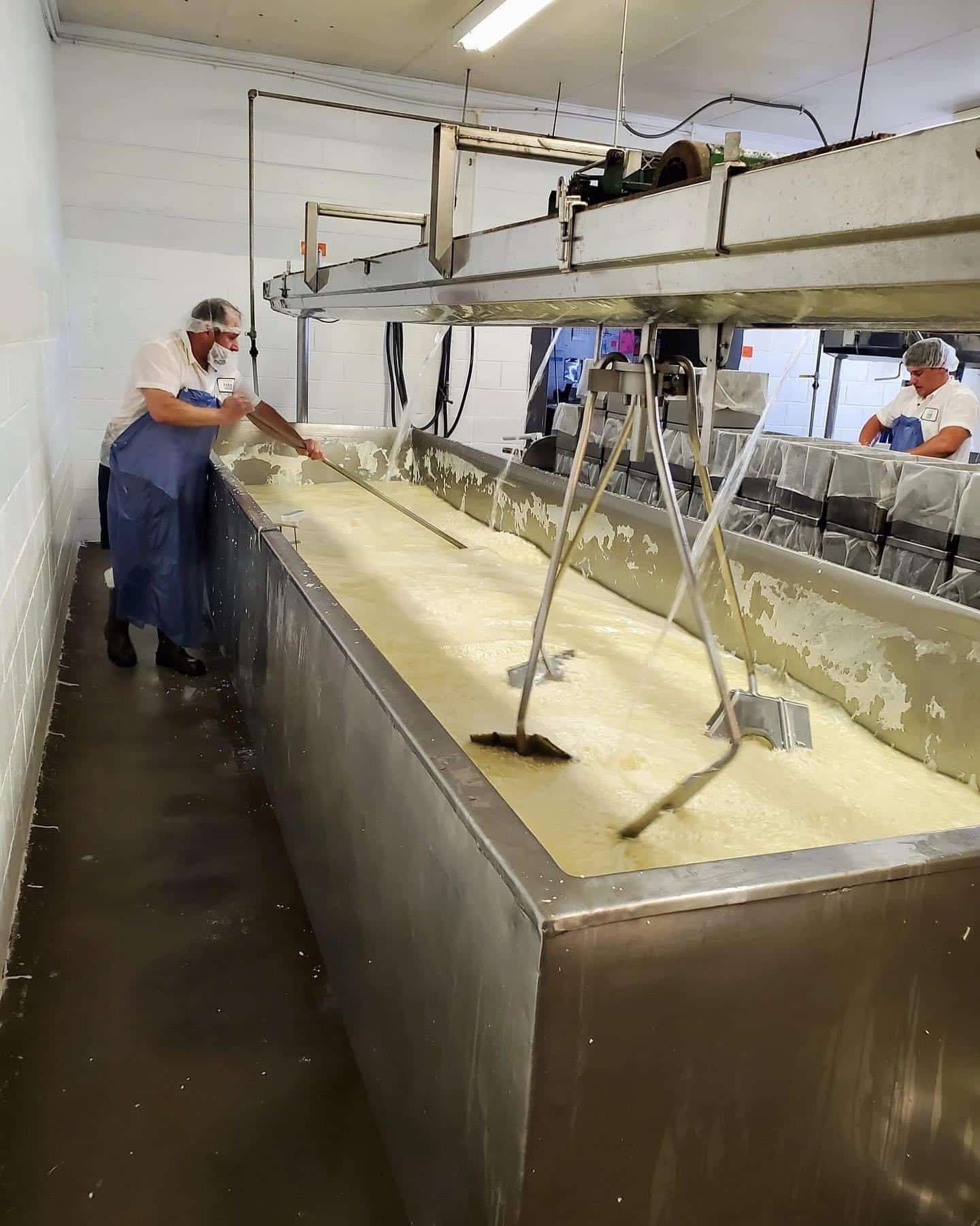 Photo Gallery - Farm Country Cheese